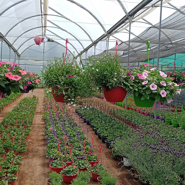 Diseño decoración y mantenimiento de jardines y áreas verdes en Quito ...